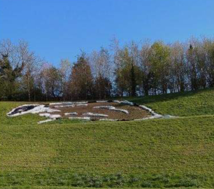 Badger Makeover - Prudhoe Town Council